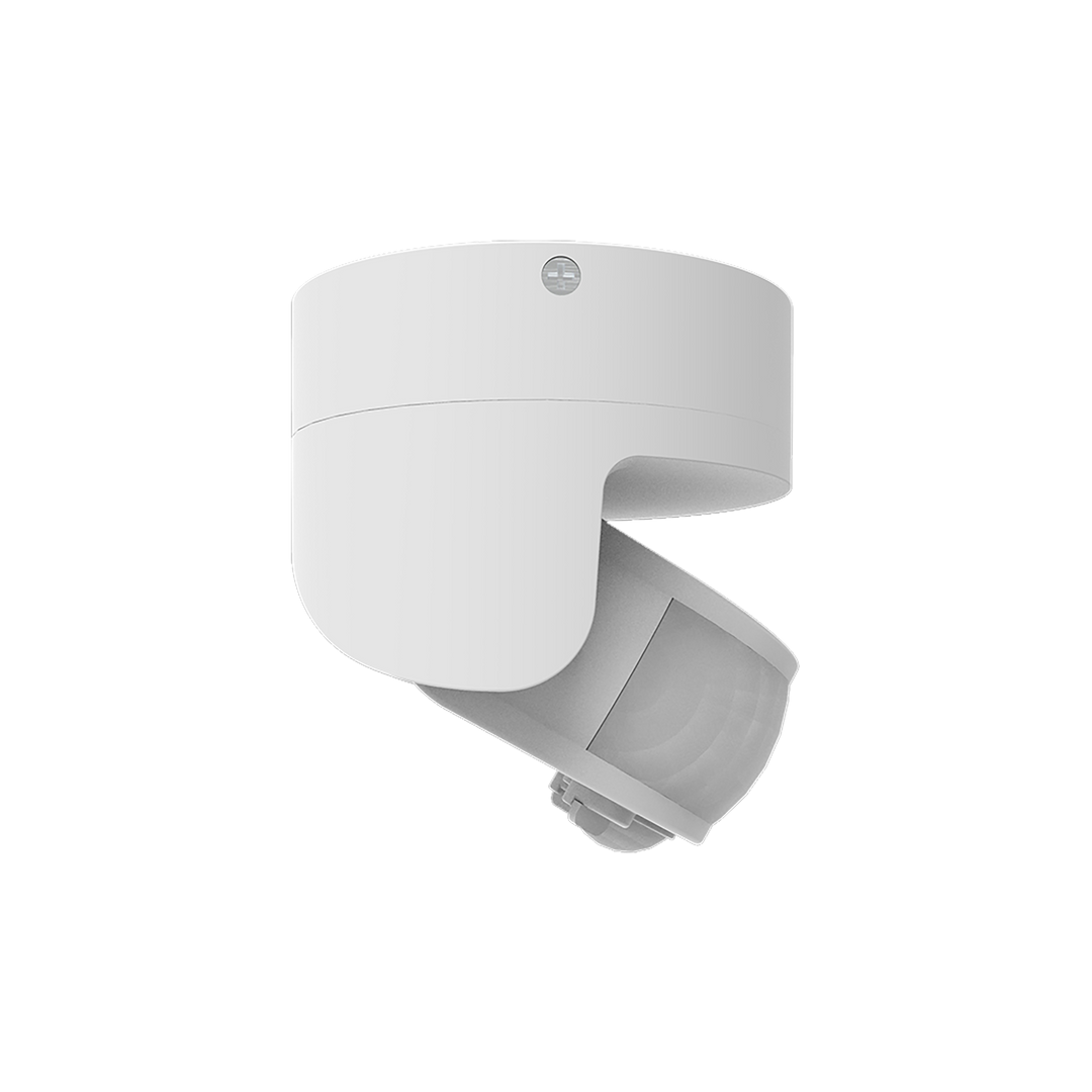 Ambius Lighting